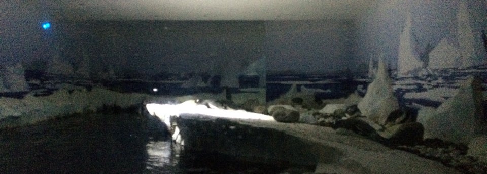 Sea Life London Aquarium - Waterloo - 128 tips