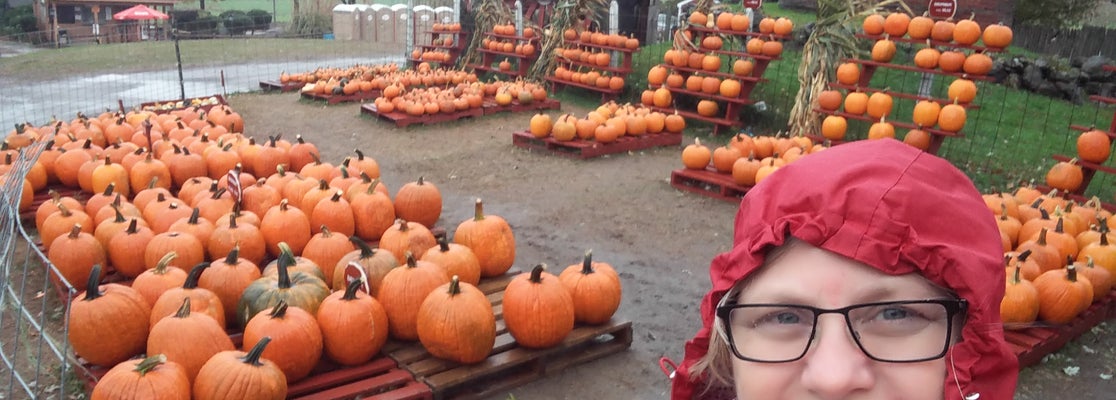 McCray's Farm and Country Creamery - Farm in South Hadley