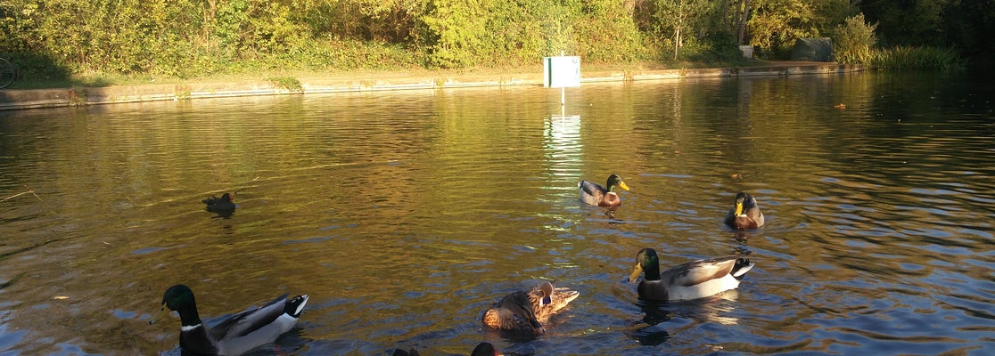Tooting Bec Common - Park in London
