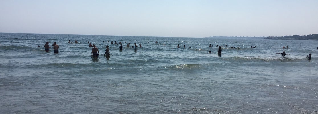 Second Beach - Surf Spot in Middletown