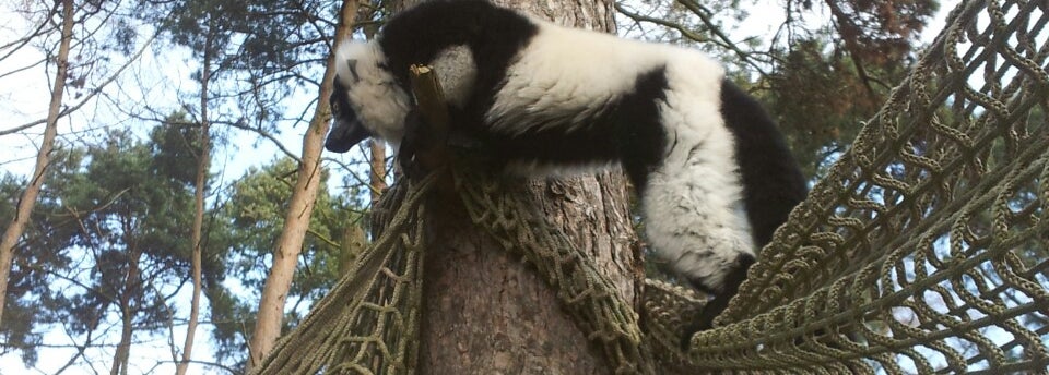 Yorkshire Wildlife Park - Zoo in Doncaster