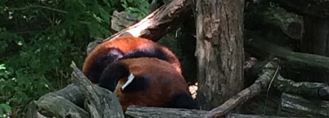 Parc Animalier de Sainte-Croix - Domaine de Sainte Croix