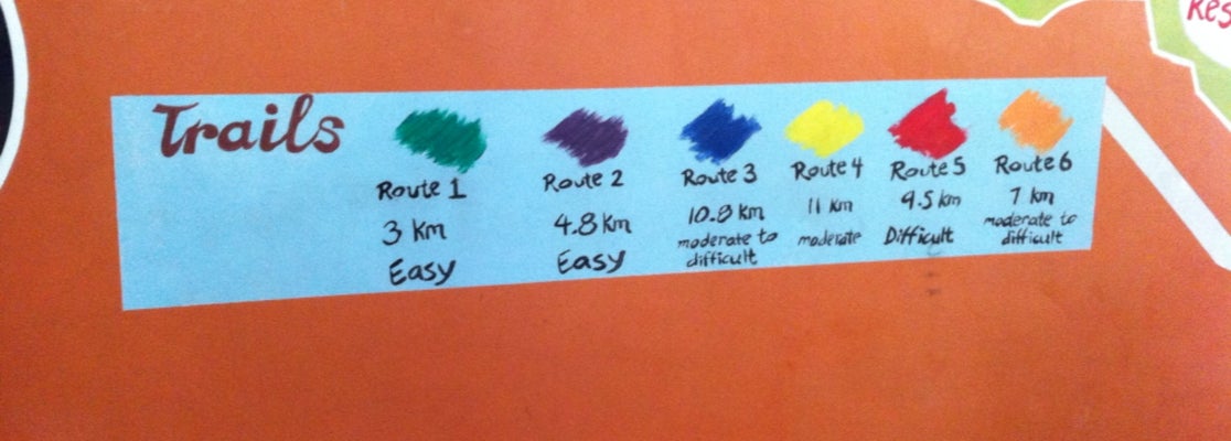 MacRitchie Reservoir Park - Central Catchment Nature Reserve - 62 tips