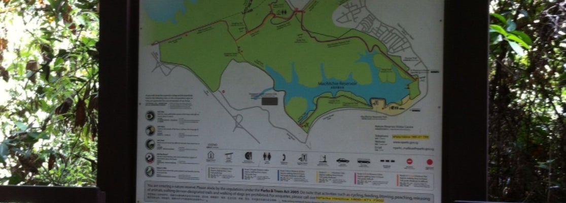 MacRitchie Reservoir Park - Central Catchment Nature Reserve - 62 tips