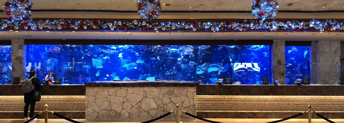 The Mirage Aquarium - Aquarium