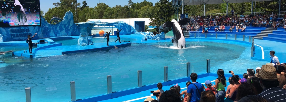 Mundo Marino - Aquarium in San Clemente del Tuyú