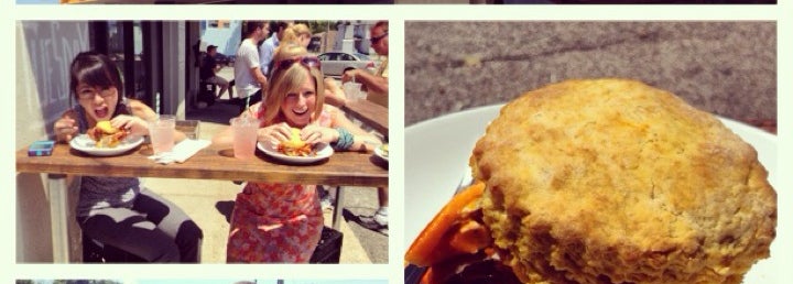 Handsome Biscuit - Breakfast Spot in Park Place