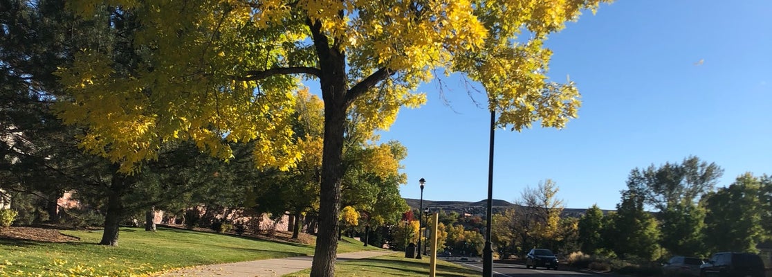 City of Lone Tree - 16 tips from 1827 visitors