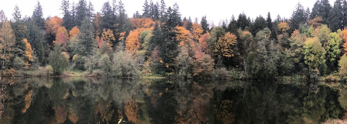 Lake Rasmussen - Duvall, WA