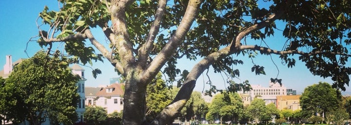 Duboce Park - Duboce Triangle - San Francisco, CA