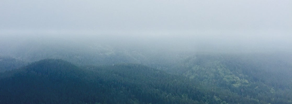 Rattlesnake Ledge Trail - Hiking Trail