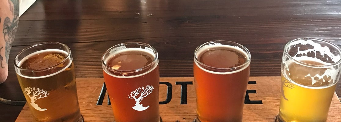 MadTree Brewing - Oakley - 3301 Madison Rd