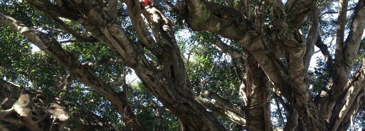 The Naples Preserve - Park in Naples