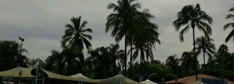 El Rollo Parque Acuático - 126 tips from 5462 visitors