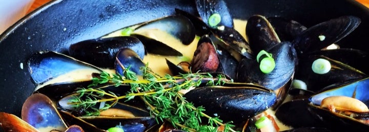 Mussel Bar & Grille - American Restaurant