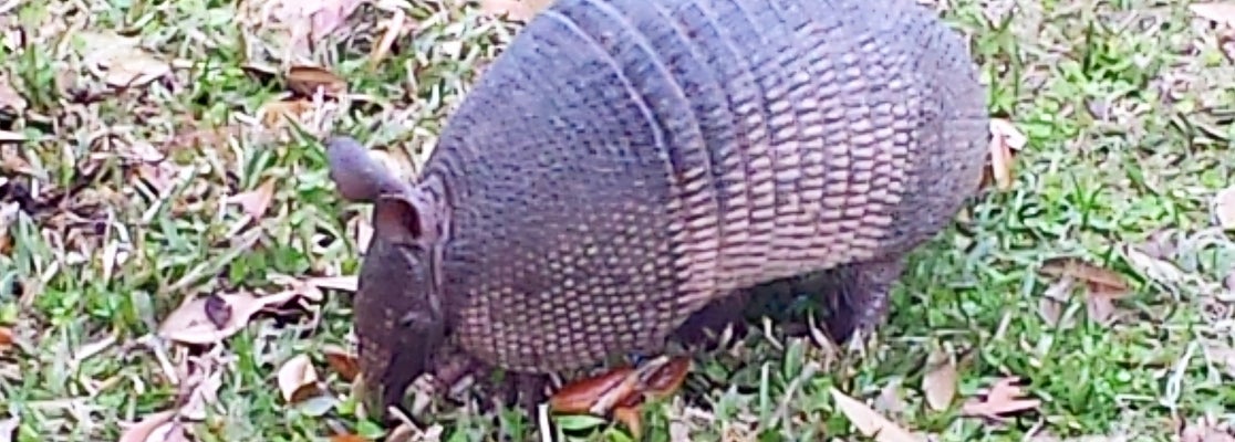 Circle B Bar Reserve - Lakeland, FL