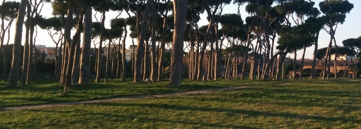 Parco Regionale Del Pineto - Park in Primavalle