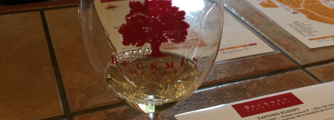 Beckman Vineyards - Vineyard