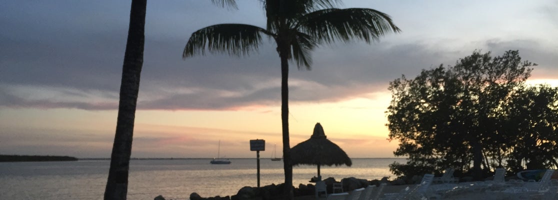 Gilbert's Tiki Bar - Bar