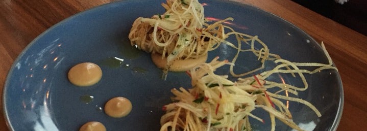 Wolf in the Fog - 24 tips from 517 visitors