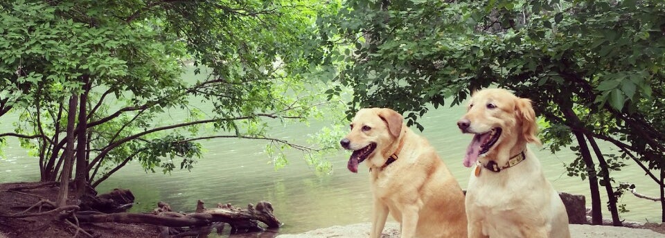Red Bud Isle - Dog Park in Austin