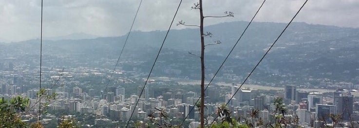 Sabas Nieves - Hiking Trail