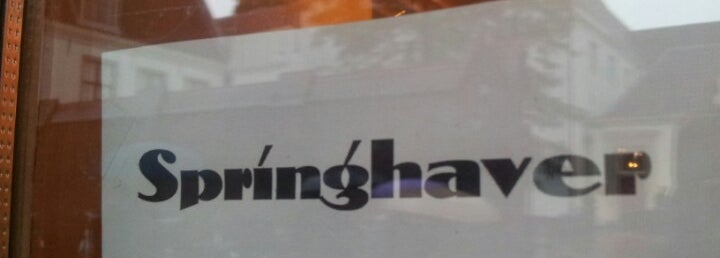 Springhaver Theater - Springweg Geertebuurt - Springweg 50