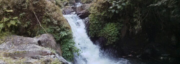 Gitgit Waterfall - 43 tips