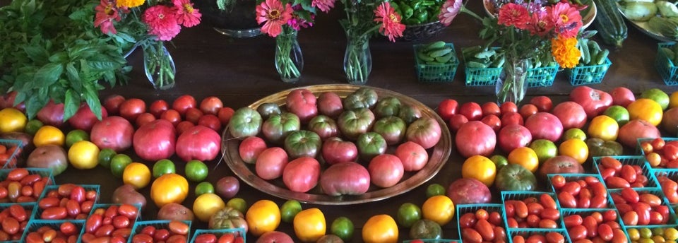 Springdale Farm - 13 tips from 458 visitors