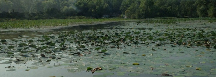 Lake Lemon - 4 tips from 247 visitors