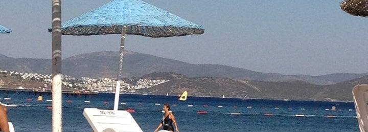 Camel Beach - Bodrum, Muğla