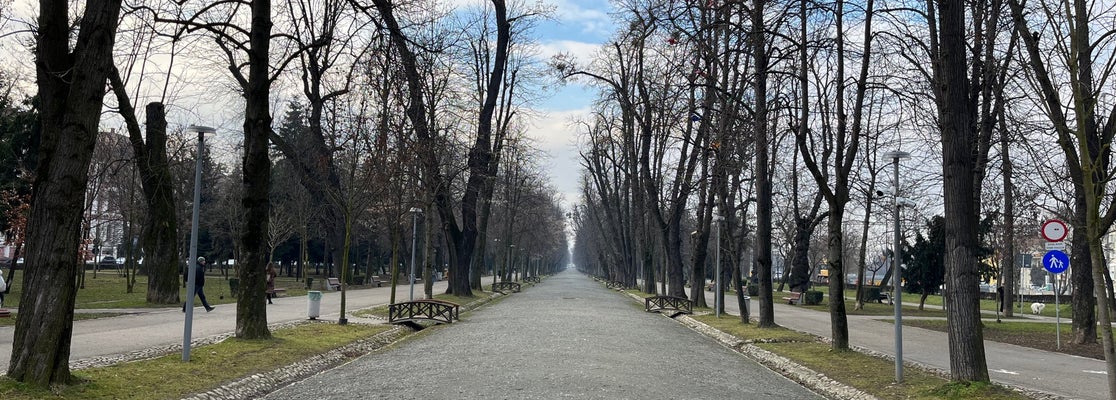 Parcul Central - Park in Cluj-Napoca