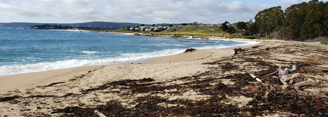 Monastery Beach - Beach