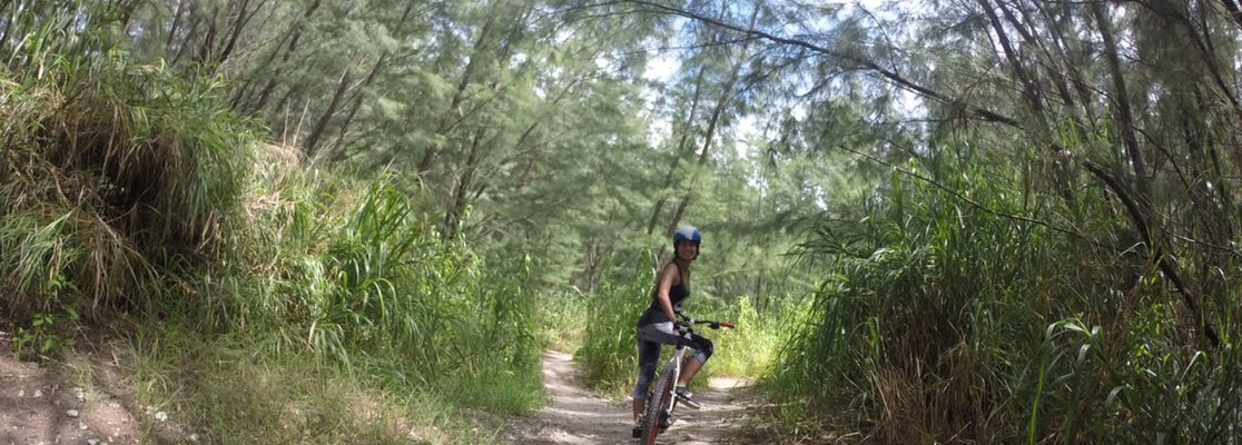 Virginia Key MTB Trails - Hiking Trail in Miami