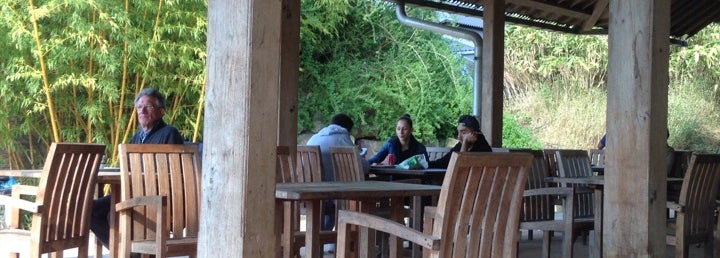 Toepaja - Muizen - 13 tips