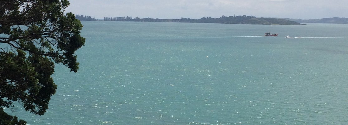 Musick Point - Bucklands Beach - 6 tips from 138 visitors