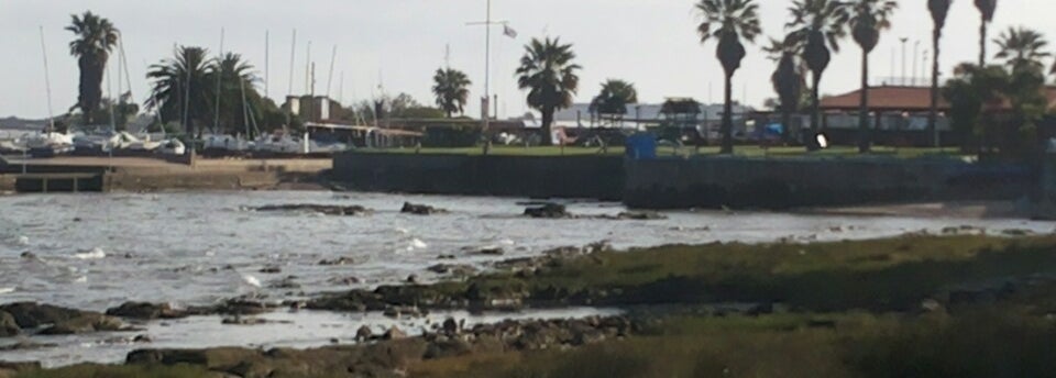 Che Montevideo - Punta Carretas - Montevideo, Montevideo