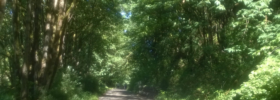 Cedar River Trail - Renton, WA