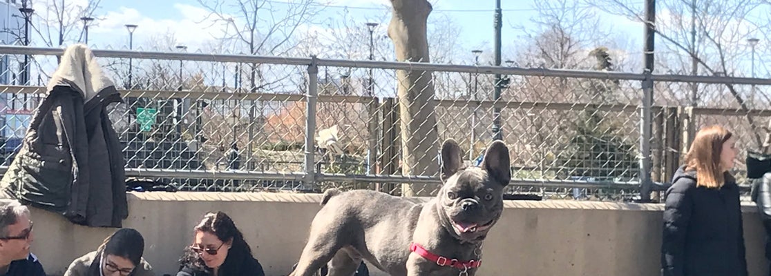 Chelsea Waterside Park Dog Run - Chelsea - 19 tips