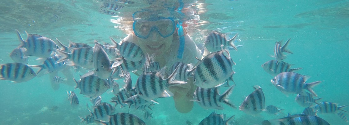 Skeleton Wreck - Dive Spot in Coron