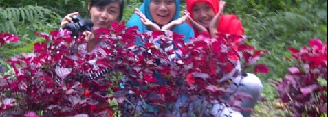 Pemandian Air Panas Cangar - Hot Spring in Batu