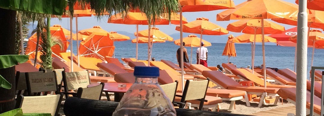 Tarzan Beach - 26 tips from 840 visitors