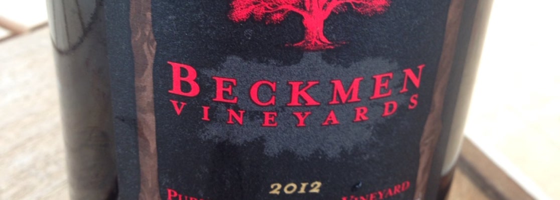 Beckman Vineyards - Vineyard