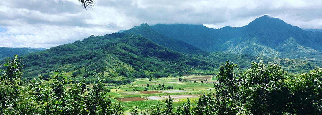 Hanalei Valley Lookout - Scenic Lookout in Hanalei