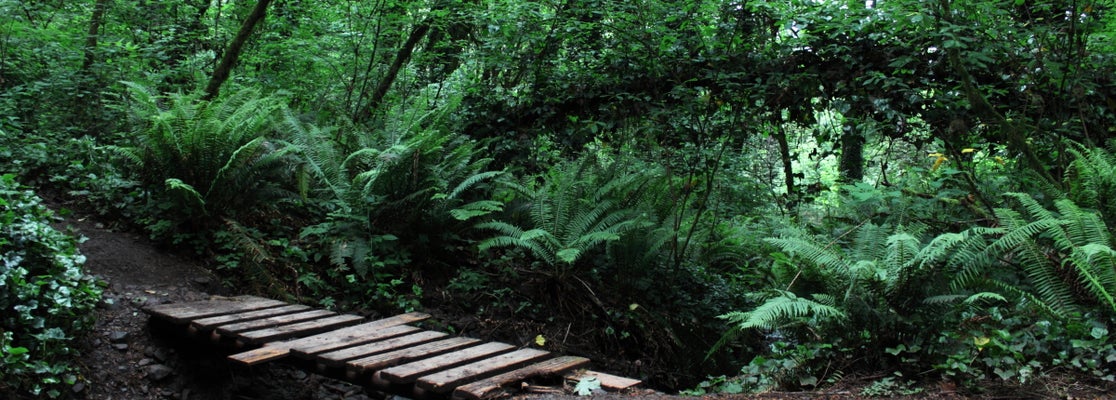 Croisan Trail - Hiking Trail in Salem