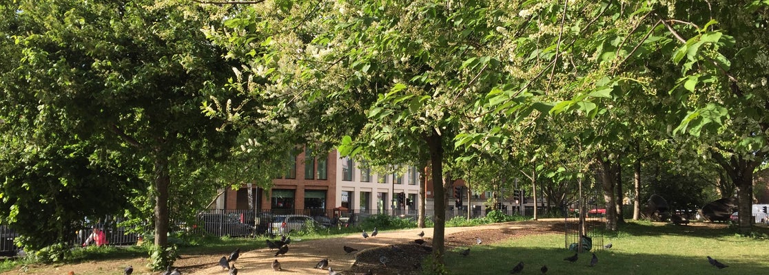Waterloo Millennium Green - Park