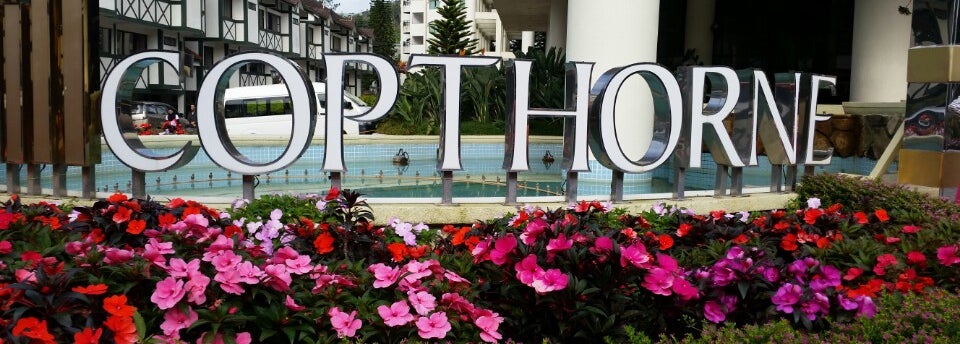 Copthorne Hotel - Hotel