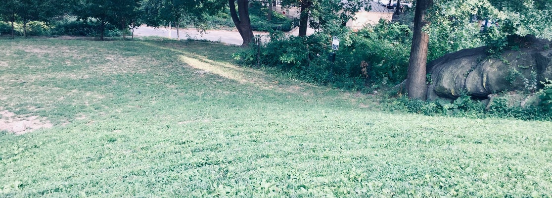 St. Nicholas Park - Park in West Harlem