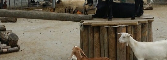 Surrey Docks City Farm - Farm in Surrey Docks