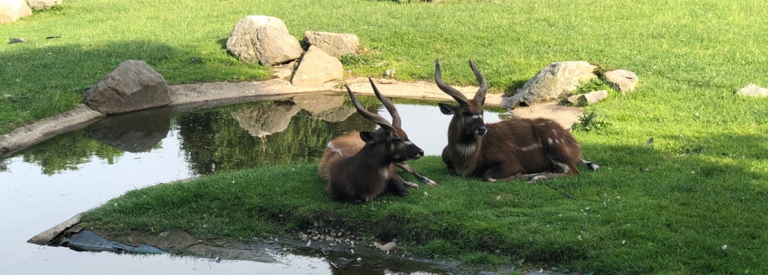 Zoo Praha - Praha-Troja - Praha, Hlavní město Praha
